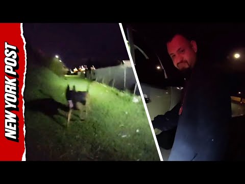 K-9 Dies After Being Shot By Illegal Immigrant During Standoff; Suspect ...